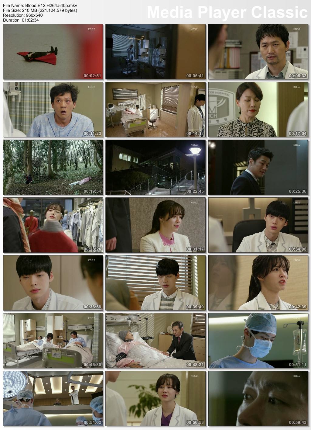 Sinopsis Blood Episode 12 | Drama Populer